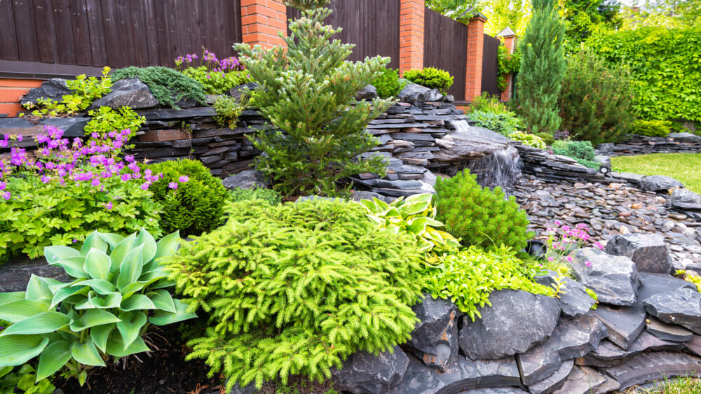 Steingarten anlegen – alpines Flair für Ihren Garten - Samenhaus Gartenblog