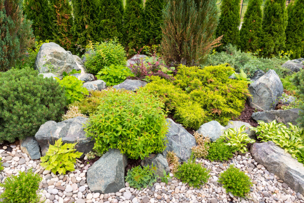Steingarten anlegen – alpines Flair für Ihren Garten - Samenhaus Gartenblog