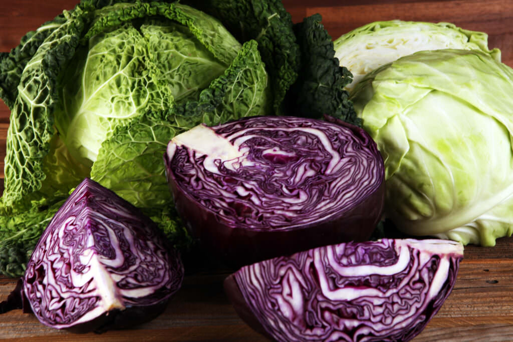 Kohl im Garten - Aussaat, Pflege und Ernte - Samenhaus Gartenblog