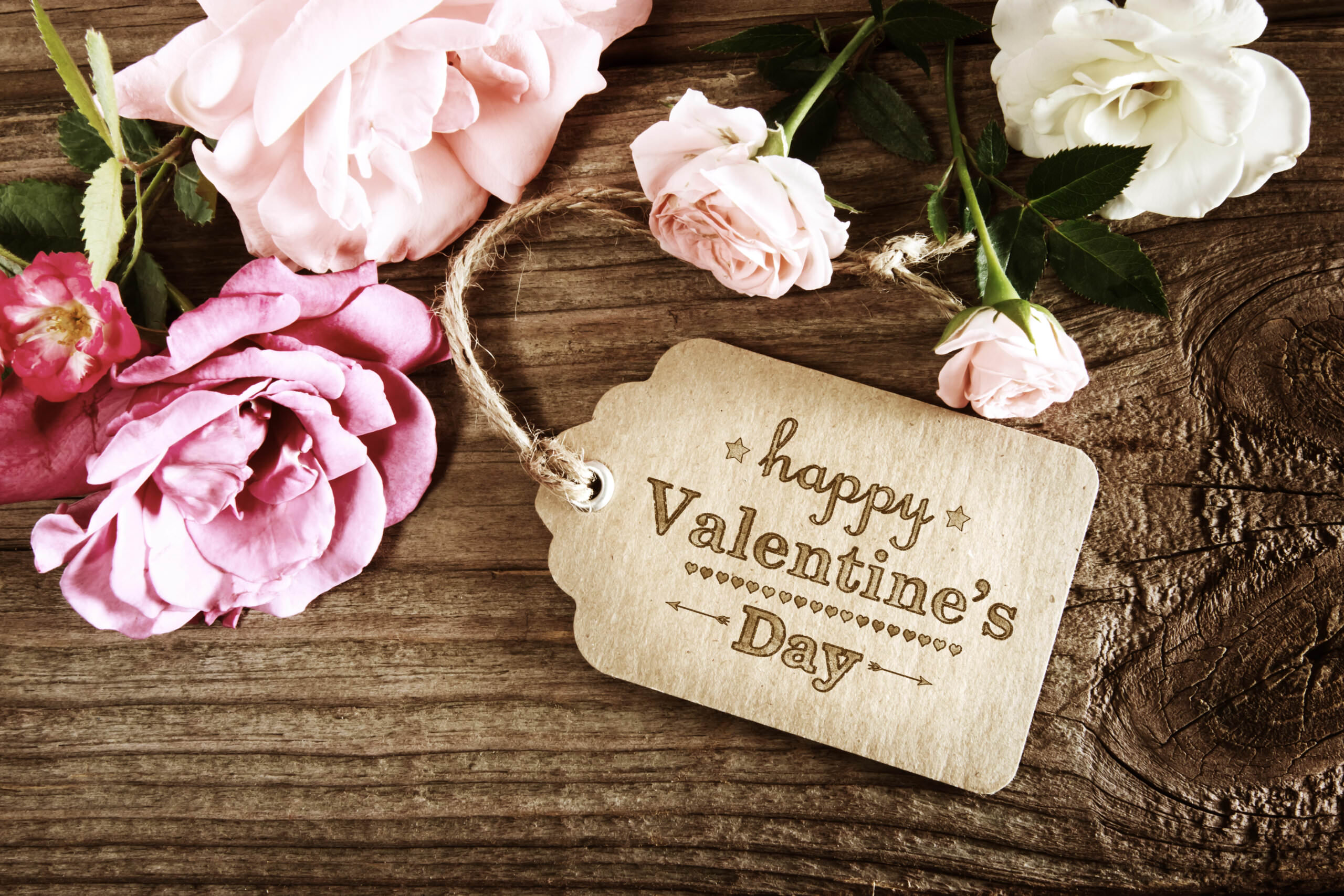 Valentinstag – Blumen mal anders schenken - Samenhaus Gartenblog