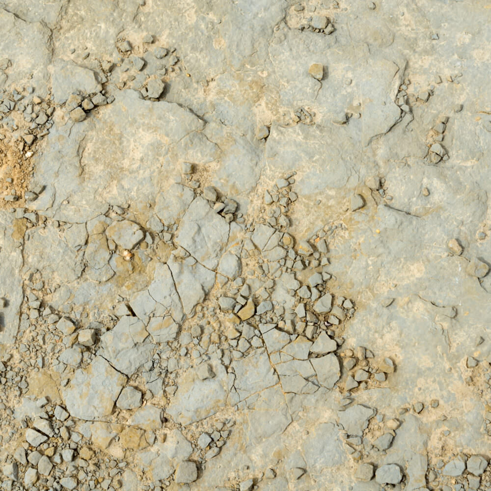 Wissenswertes über den Boden - Samenhaus Gartenblog