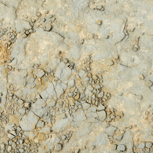 Wissenswertes über den Boden - Samenhaus Gartenblog