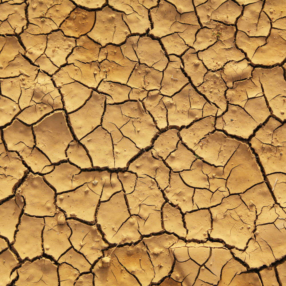 Wissenswertes über den Boden - Samenhaus Gartenblog