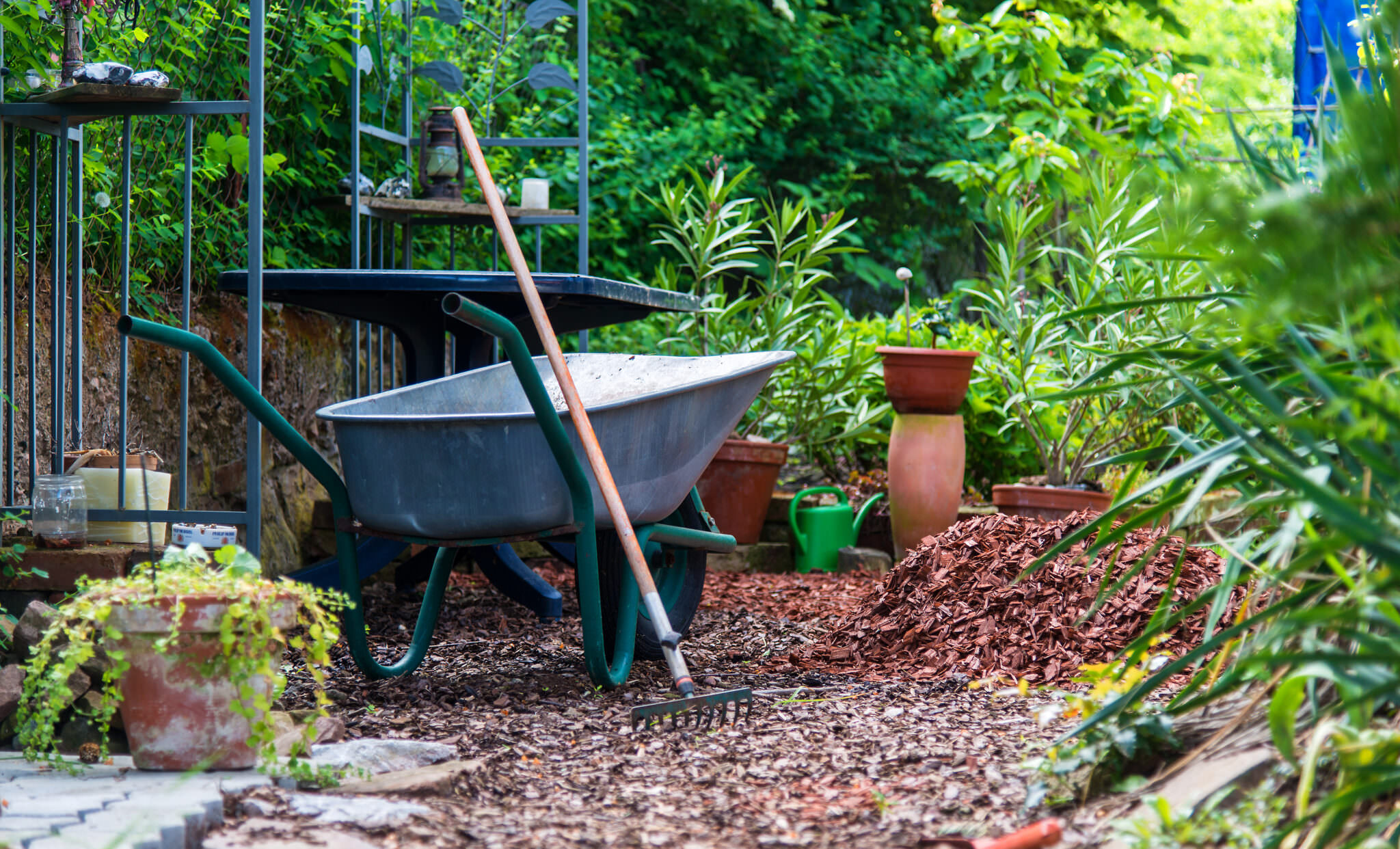 Mulchen Im Garten So Geht S Richtig Das Haus