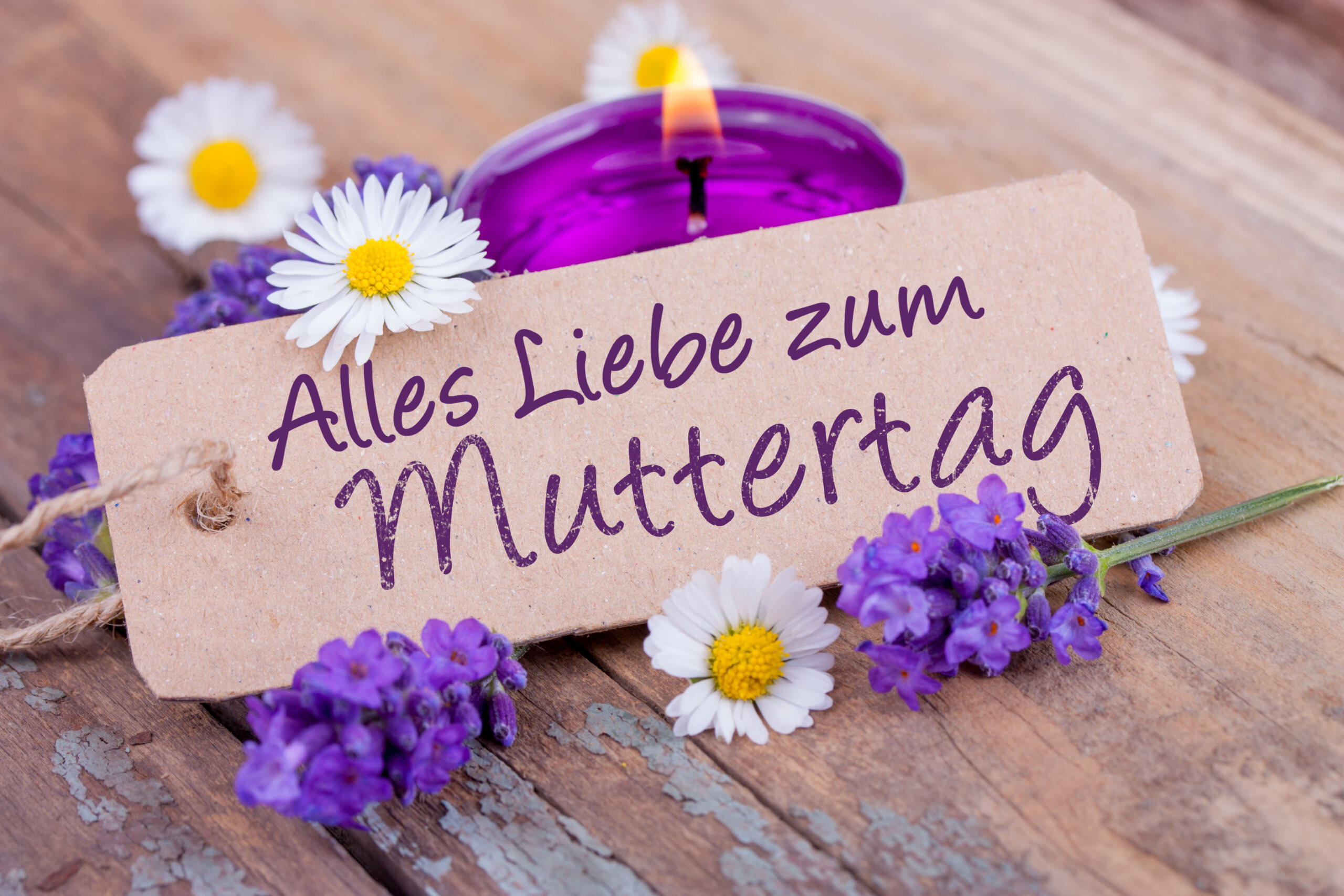 Sag es mit Blumen – 6 Geschenkideen zum Muttertag - Samenhaus Gartenblog