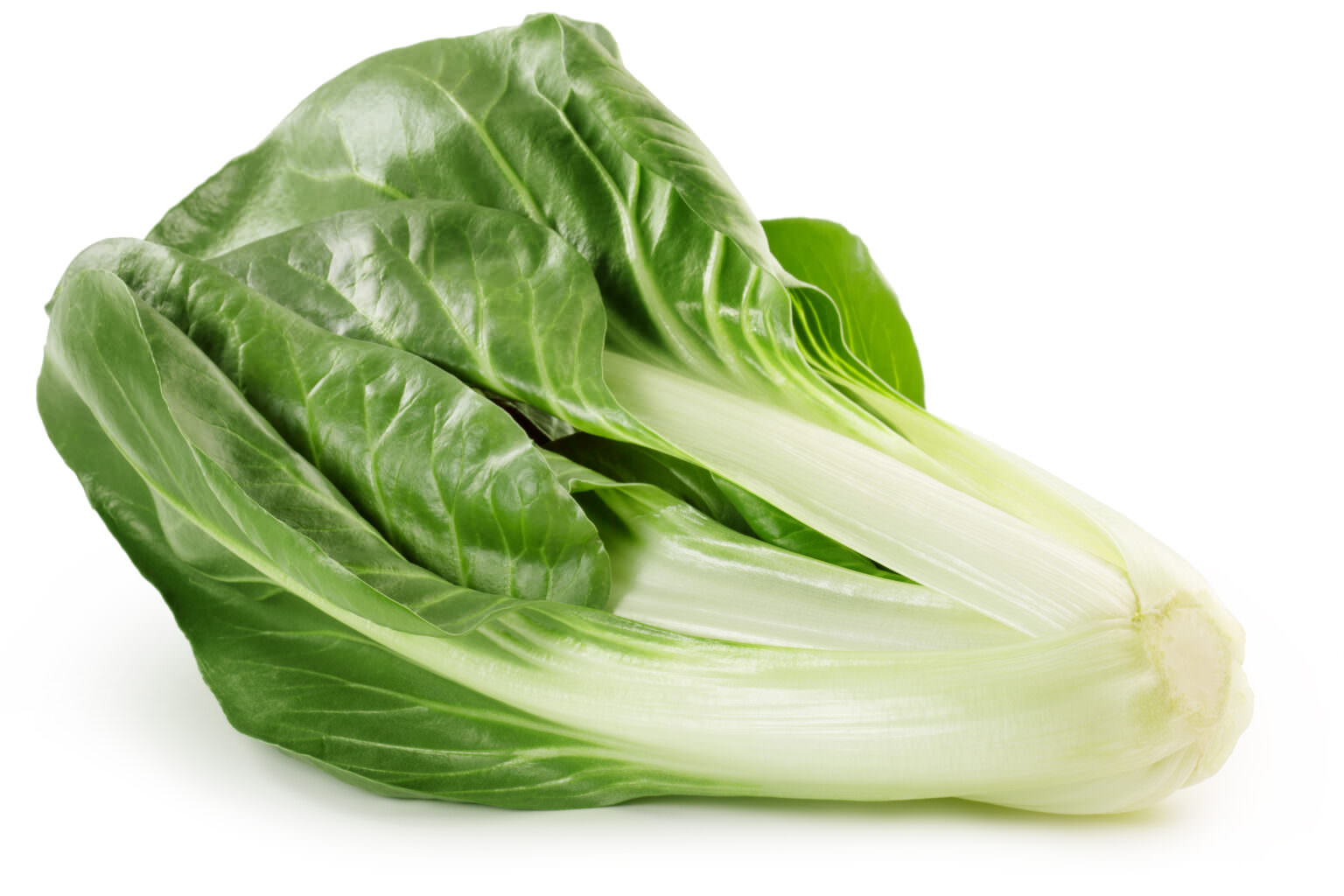 Bodenbeschaffenheit: Merkmale der verschiedenen Bodenarten - Samenhaus ...