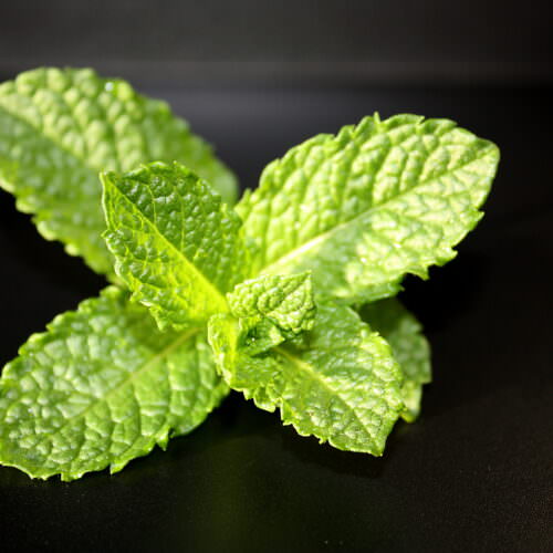 Minze-Sorten für den Anbau im Garten und auf dem Balkon - Samenhaus ...