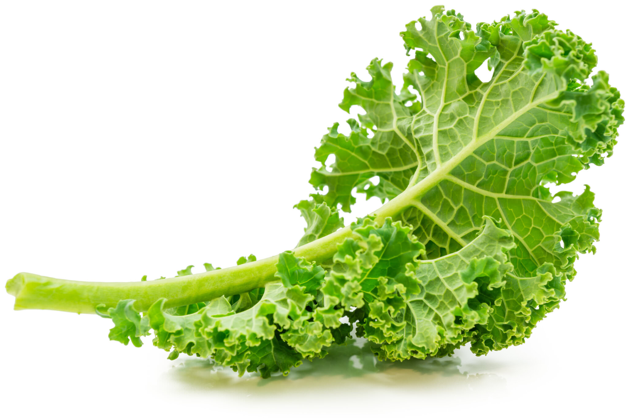 Ewiger Kohl: winterharte und ausdauernde Kohlpflanze - Samenhaus Gartenblog