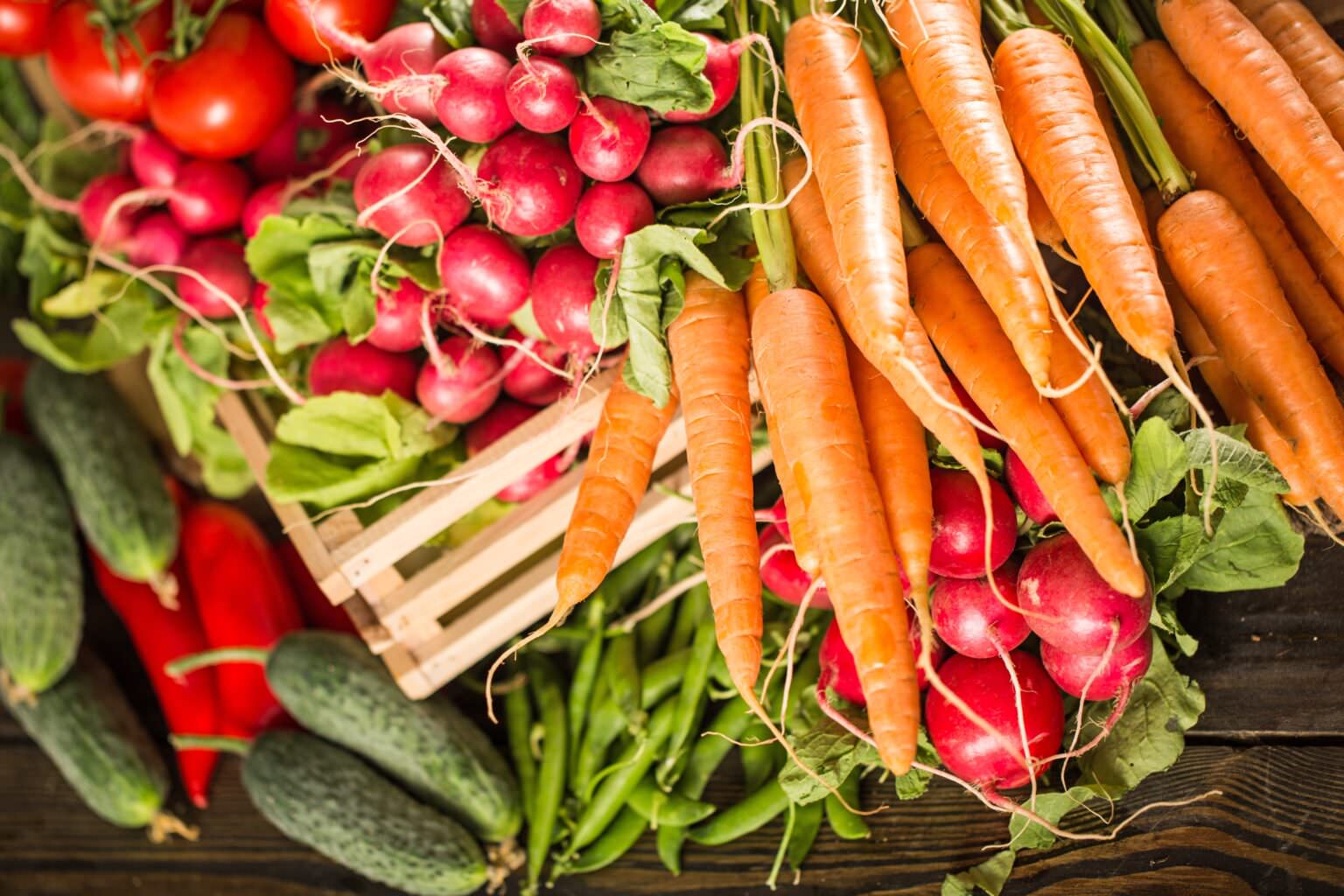 Rettiche und Rüben: Anbau, Sorten und Verwendung - Samenhaus Gartenblog