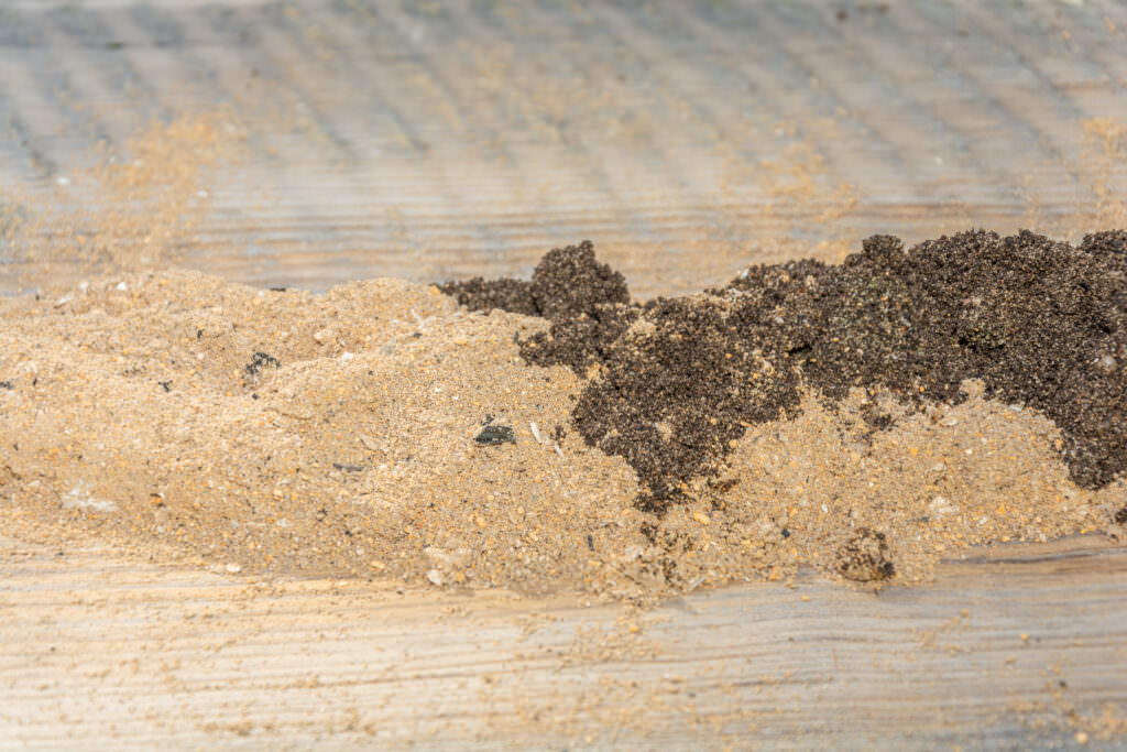 Asche als Dünger: Wann ist sie geeignet und wann nicht? - Samenhaus ...