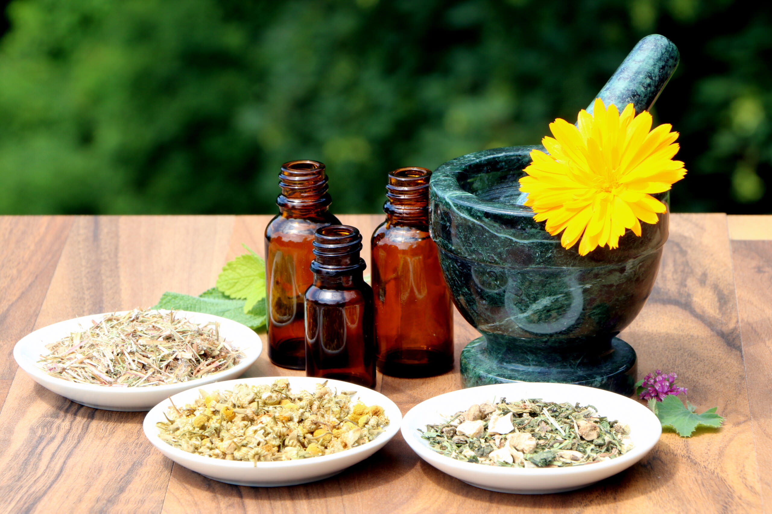 Kräutertinkturen herstellen - wie geht das? - Samenhaus Gartenblog