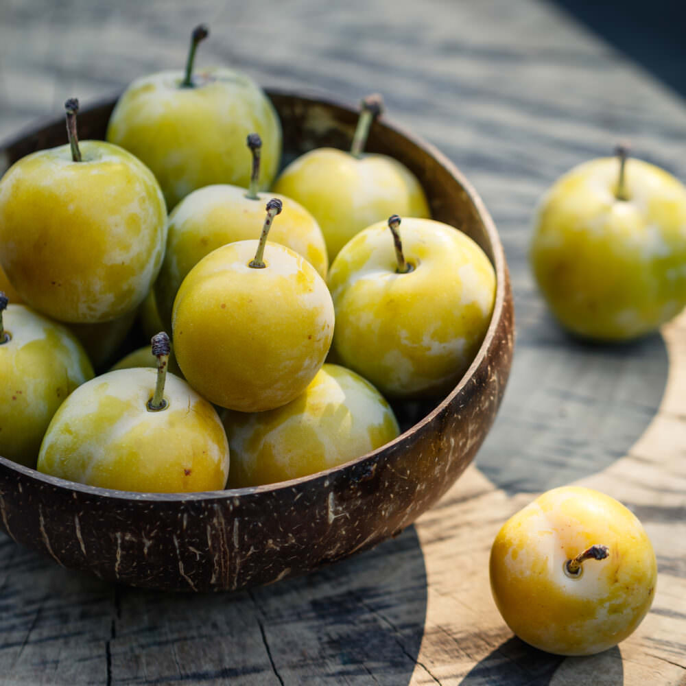 Pflaume ist nicht gleich Pflaume: Arten und Unterschiede - Samenhaus ...