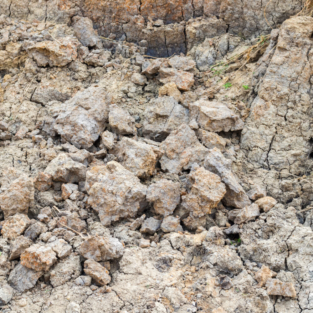 Mutterboden, Lehmboden und andere Böden: Wie Sie sie erkennen ...