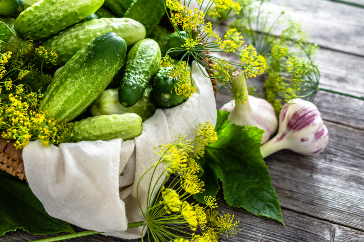 Gurken haltbar machen – diese 8 Rezepte sollten Sie kennen - Samenhaus ...