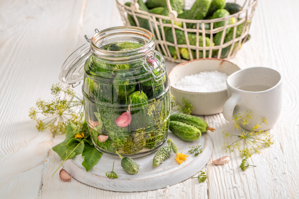 Gurken haltbar machen – diese 8 Rezepte sollten Sie kennen - Samenhaus ...