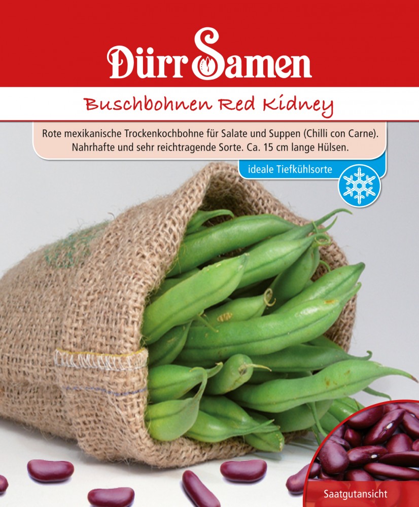 Buschbohne Red Kidney | Buschbohnensamen von Dürr Samen