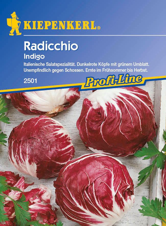 Salatsamen - Radicchio Indigo von Kiepenkerl [MHD 01/2019]