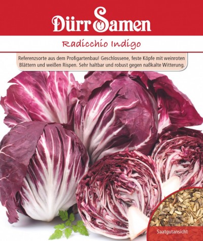 Zichoriensalat Radicchio Indigo von Dürr-Samen [MHD 12/2018]